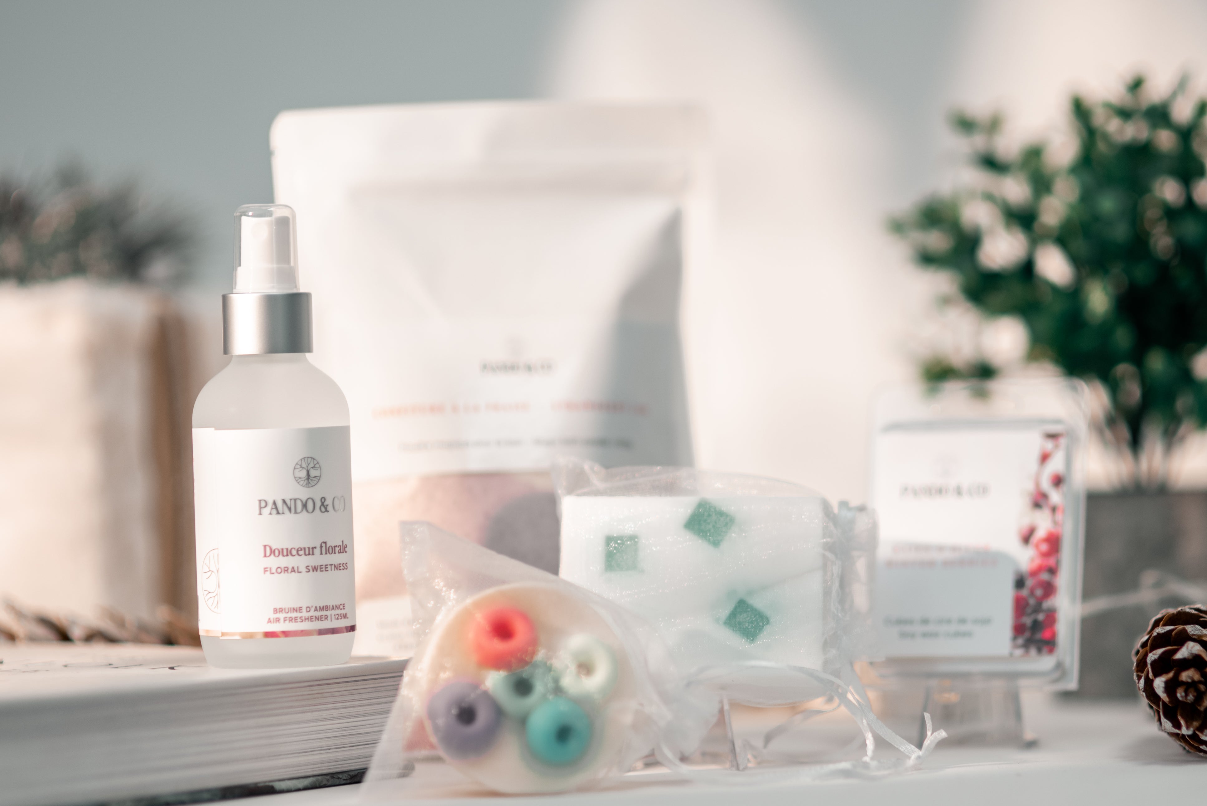 À petits prix – Pando & co