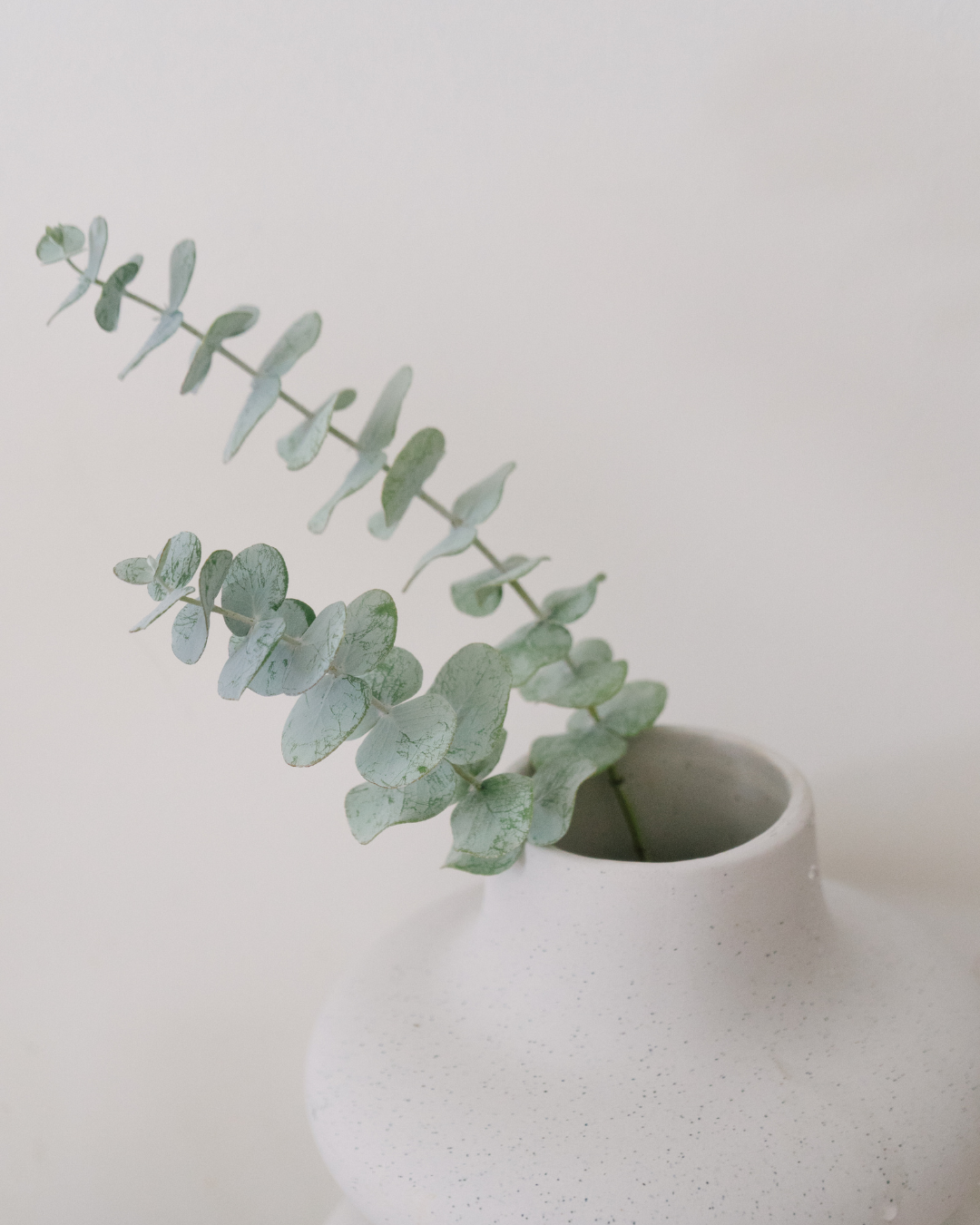 Pando & Co - Votre Boutique Cocooning Éco-Responsable – Pando & co